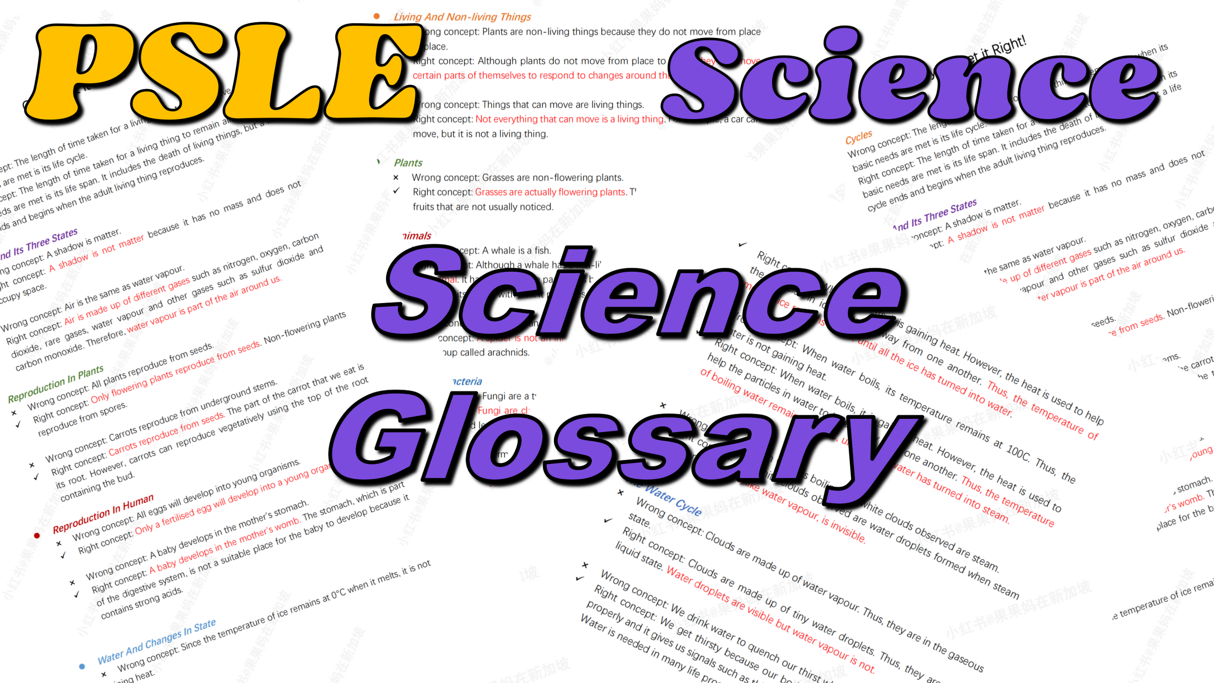 Online learning platform | Pitaya