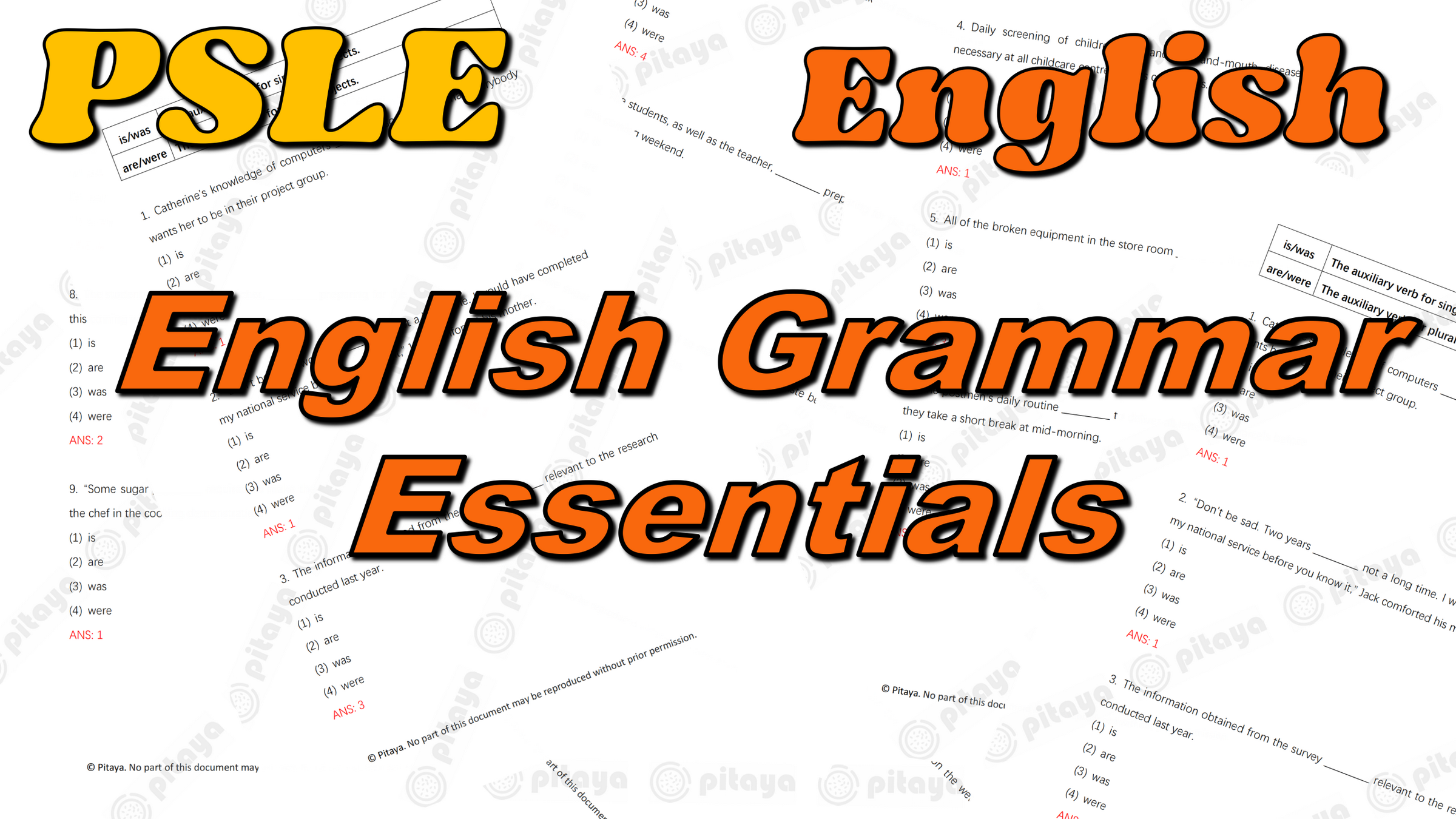 Online learning platform | Pitaya