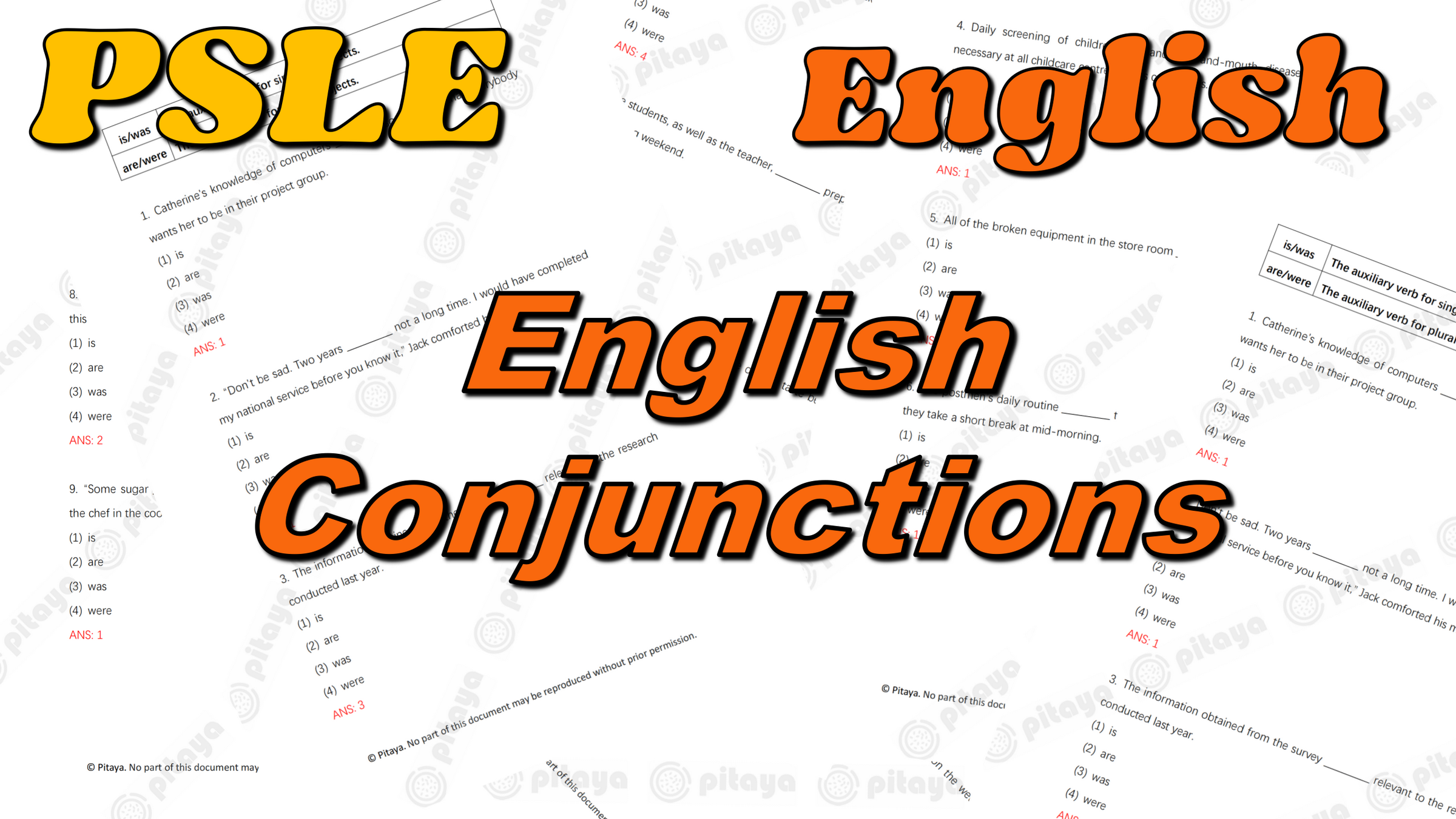 Online learning platform | Pitaya