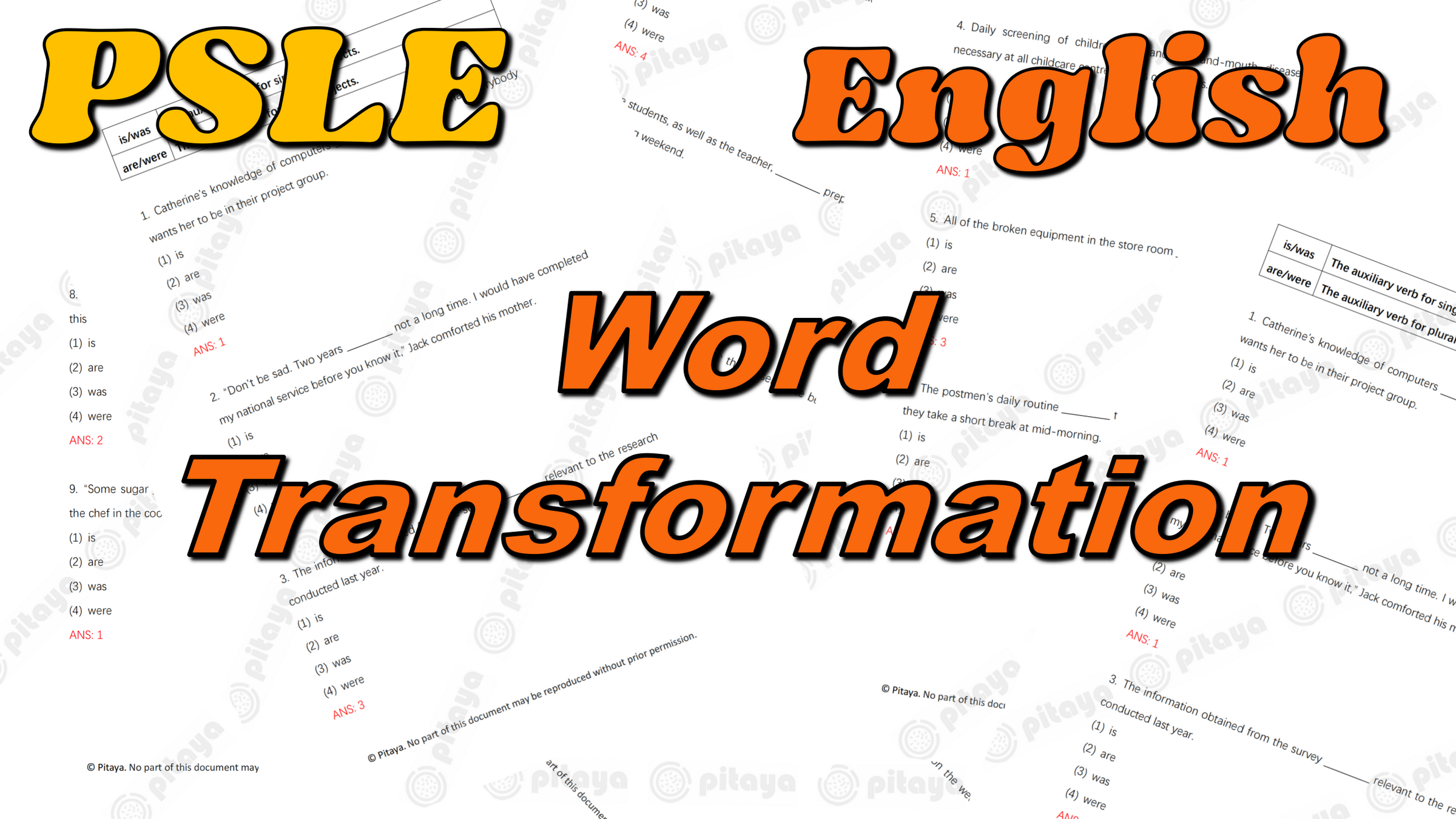 Online learning platform | Pitaya